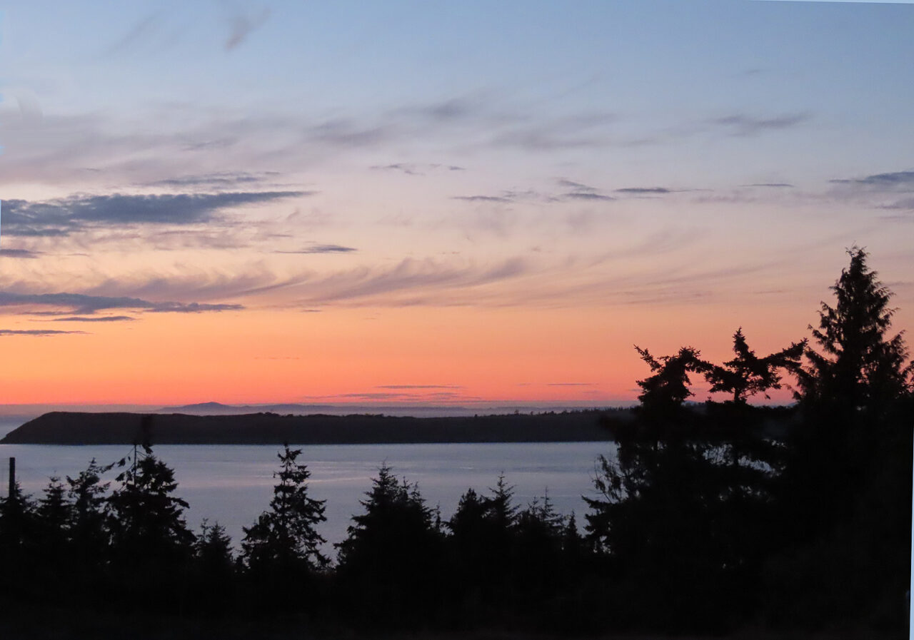 Protection Island | Peninsula Passage