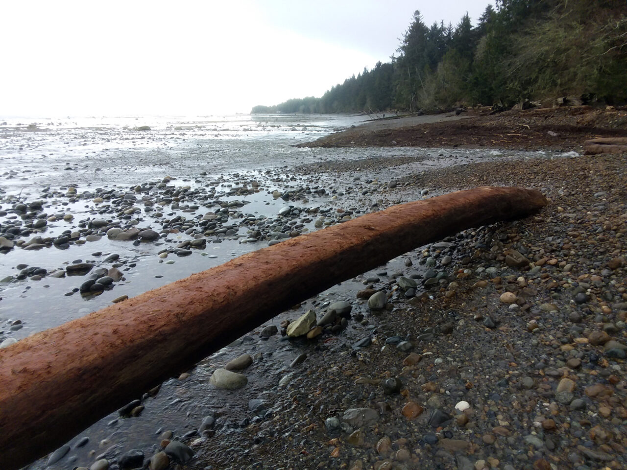 Murdock Beach | Peninsula Passage