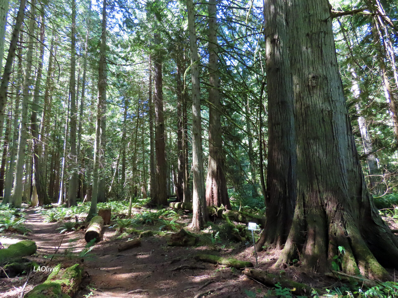 Fort Townsend Historical State Park | Peninsula Passage